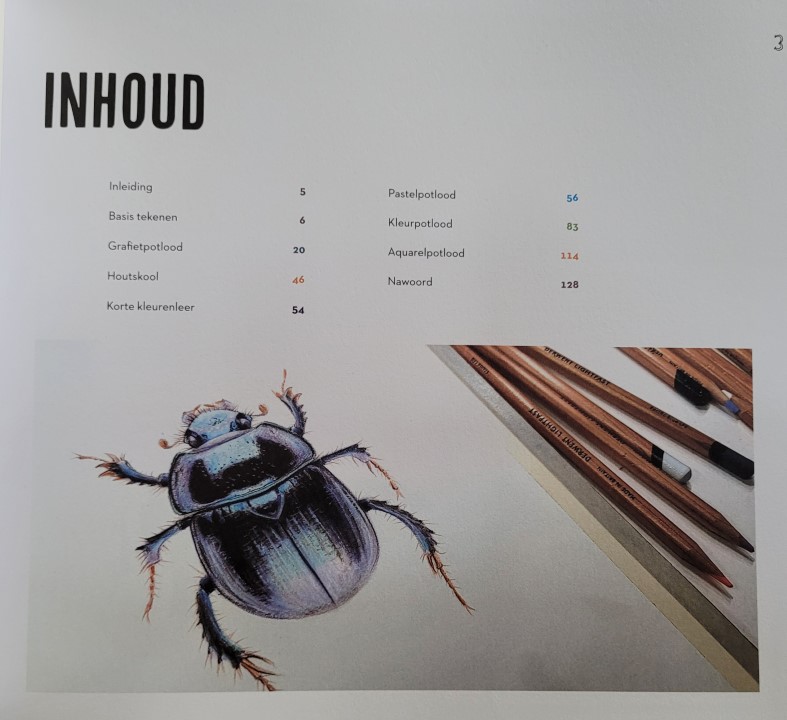 Akim Stripwinkel - Basisboek Tekenen - Basisboek Tekenen, Softcover (Mus)